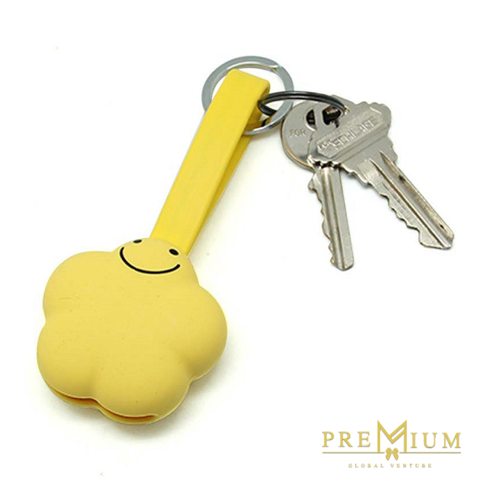 Charging Cable With Key Ring - Premium Global